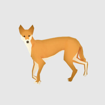 [3D] Low Poly Dingo ⋆ Studio Ochi