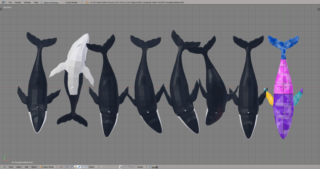 [3D] Low Poly Humpback Whale ⋆ Studio Ochi