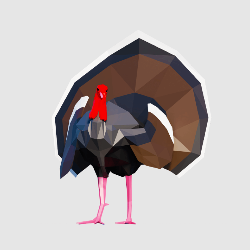 [3D] Low Poly Turkey ⋆ Studio Ochi