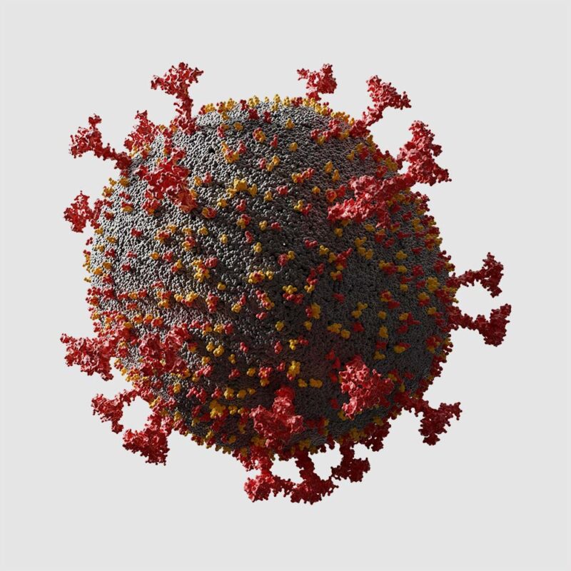 [2D] Corona Virus Render ⋆ Studio Ochi