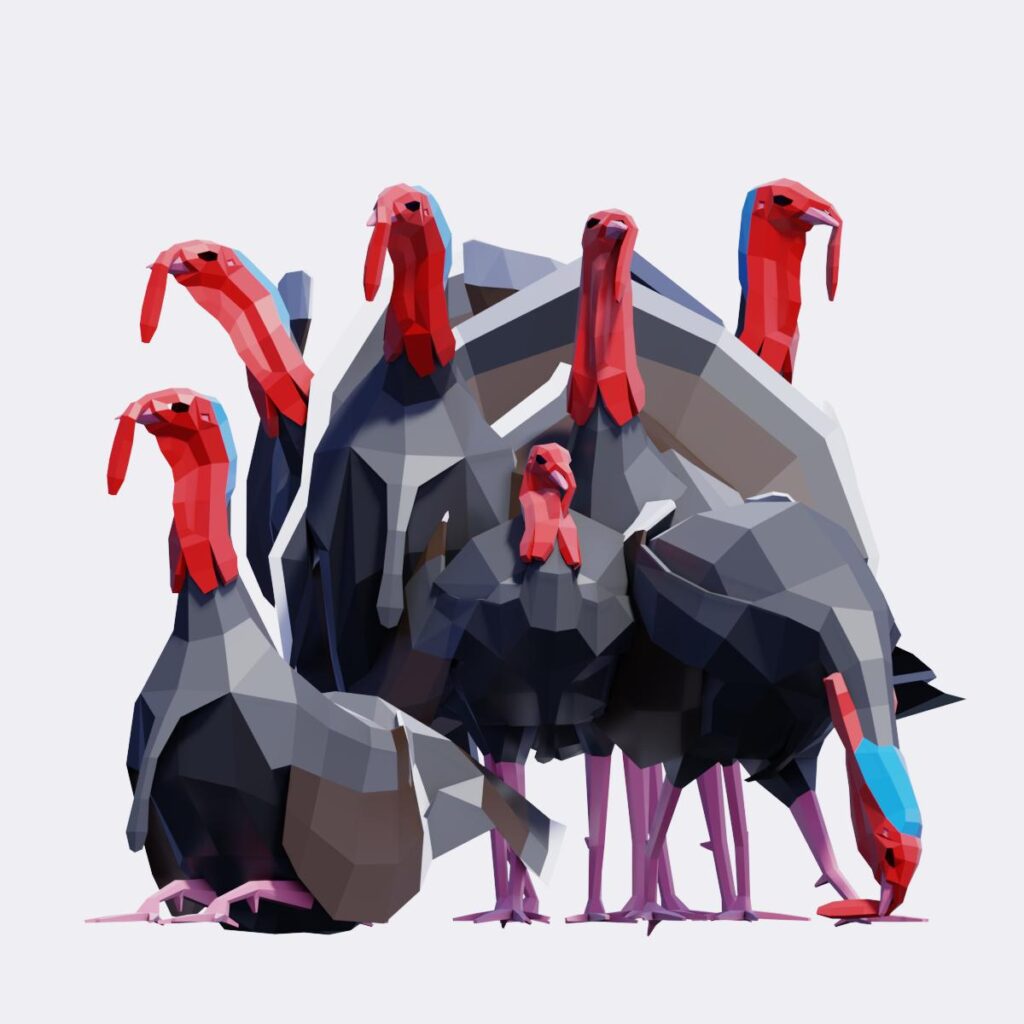 [3D] Low Poly Turkey ⋆ Studio Ochi